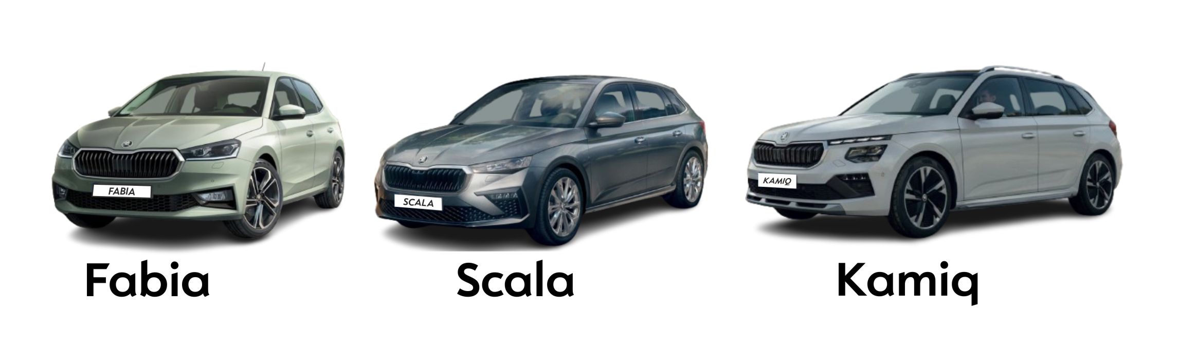SKODA RAC - Mac Motors